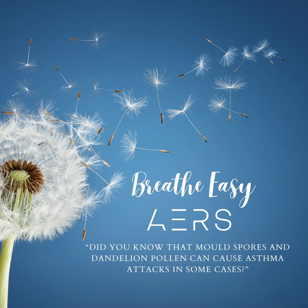 Nose Filters by AERS UK | Designed to Protect Each Breath